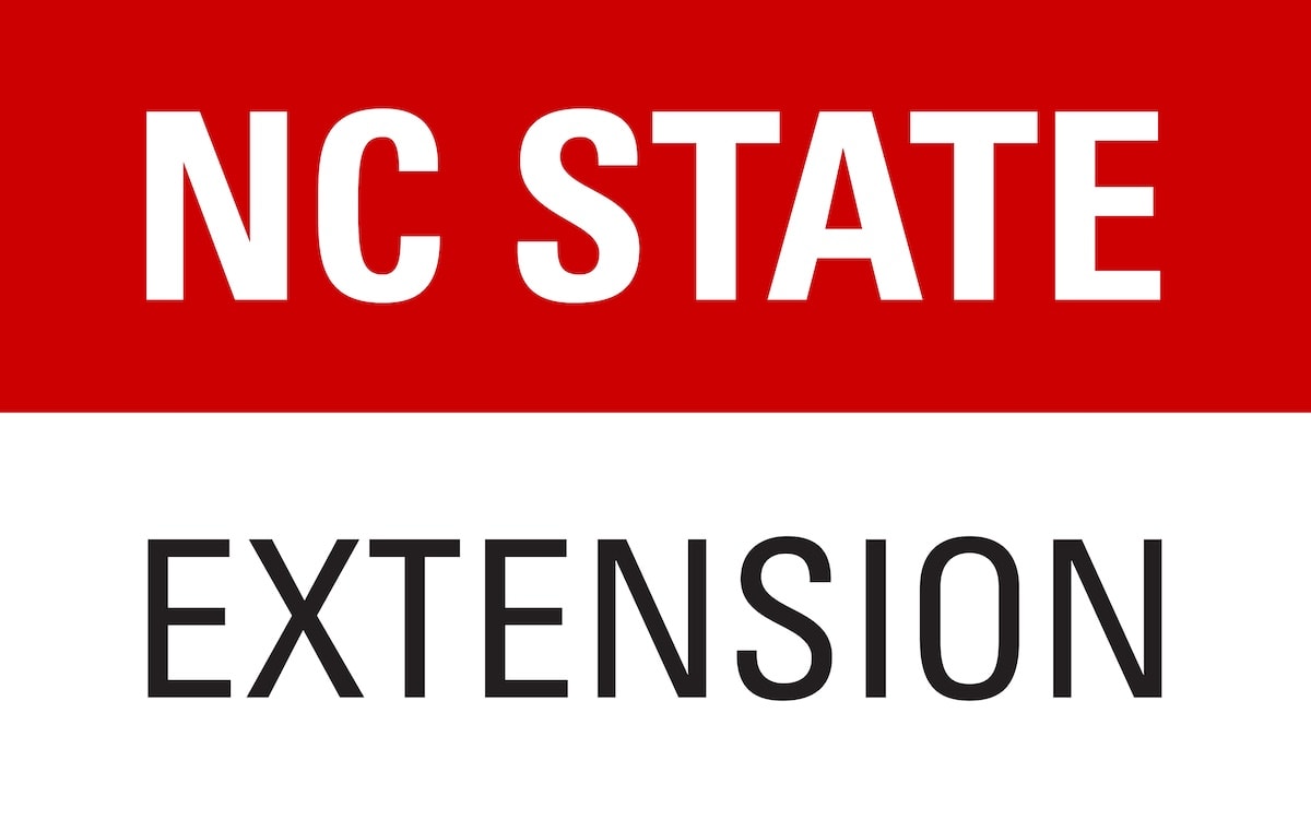 Community Decision Making - Community Development | NC State Extension